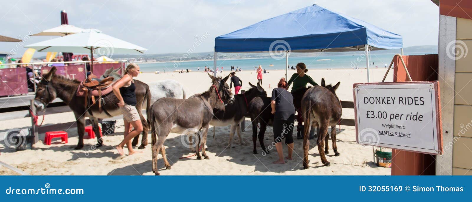 Donkey Rides editorial stock image. Image of england - 32055169