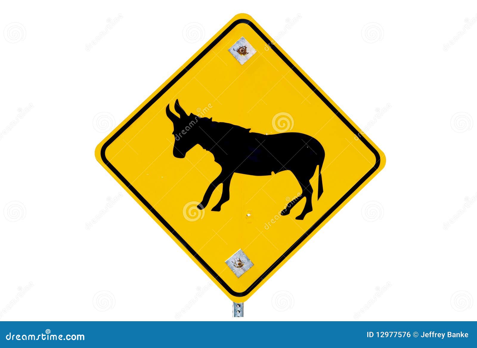Donkey road sign stock photo. Image of sign, isolated - 12977576