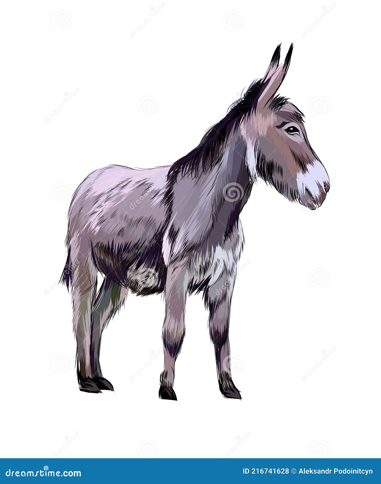 Donkey from a Splash of Watercolor, Colored Drawing, Realistic Stock ...