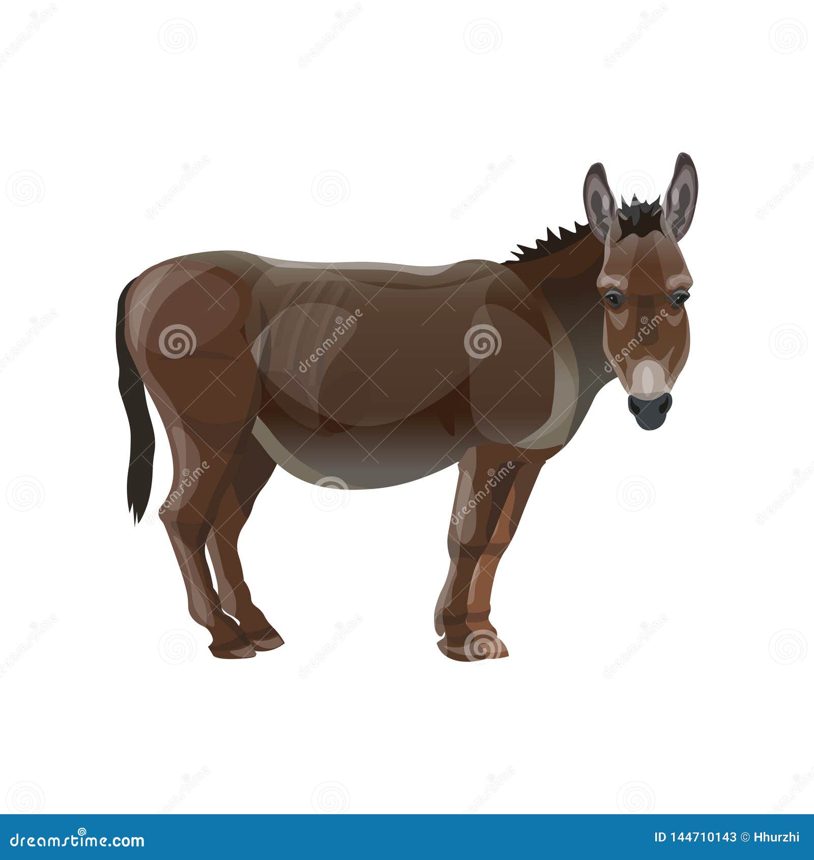 Hinny Cartoons, Illustrations & Vector Stock Images - 15 Pictures to ...