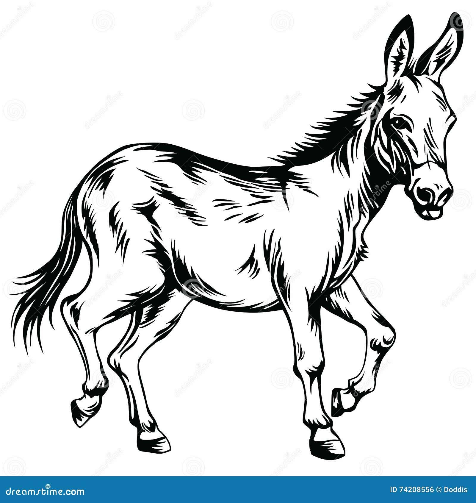 Donkey Stylized Drawing Illustration Stock Vector - Illustration of ...