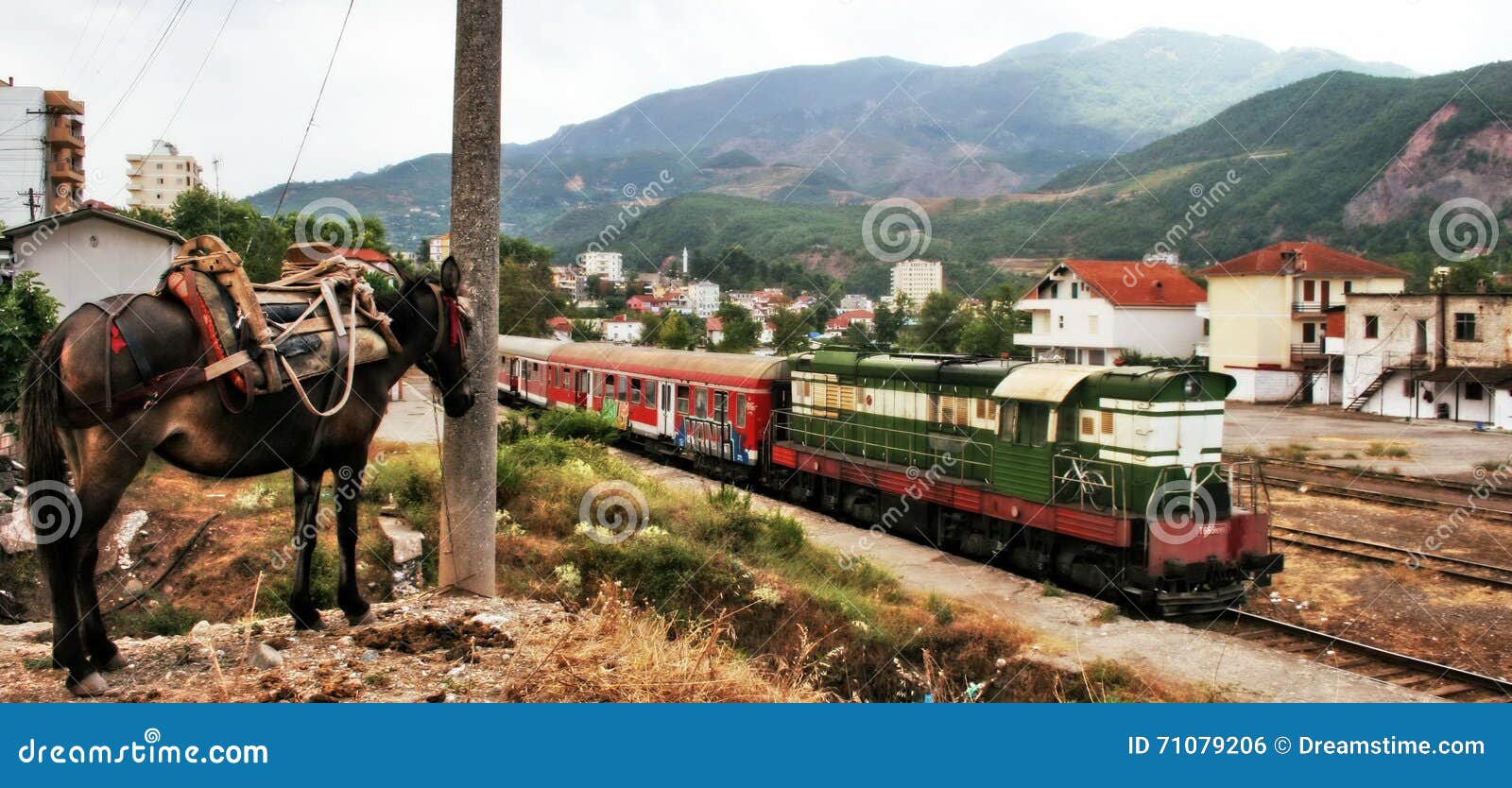 Donkey and Train editorial photo. Image of travel, donkey - 71079206