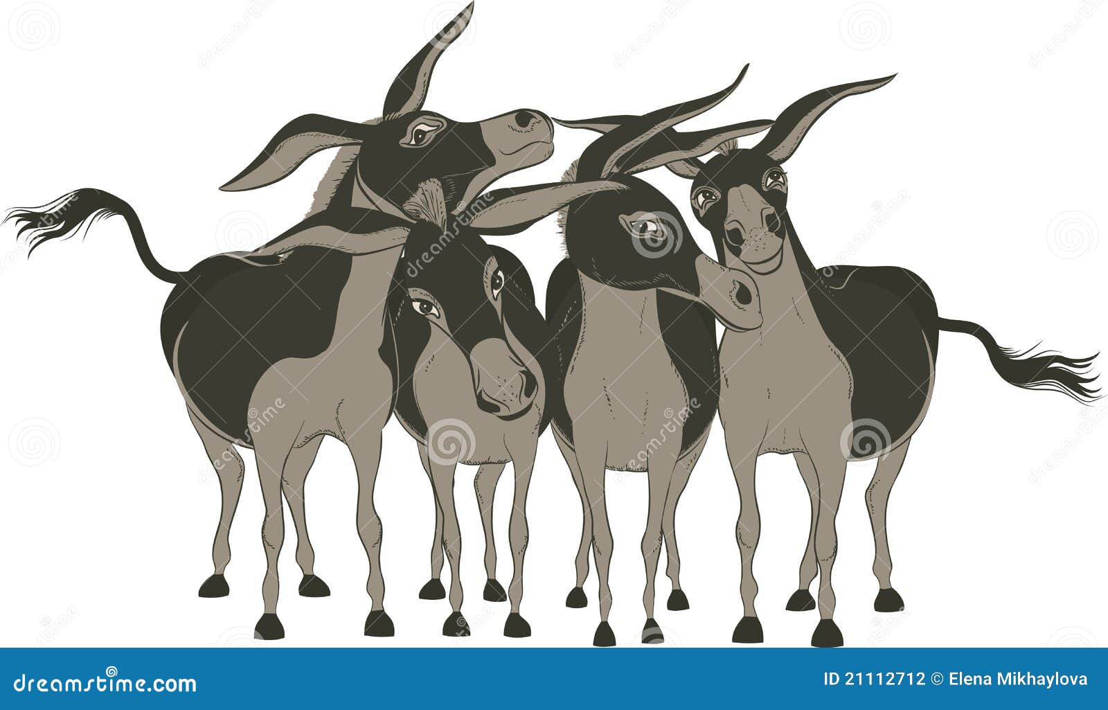 Four Donkeys In Long White Dresses Stand, Concept Of Animal Attire ...