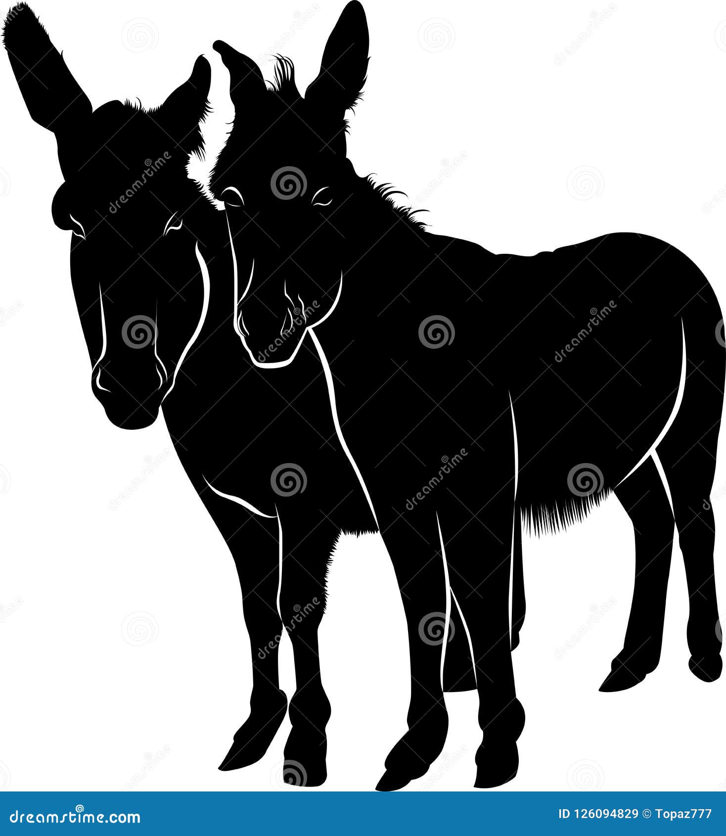 Donkeys Cartoons, Illustrations & Vector Stock Images - 656 Pictures to ...