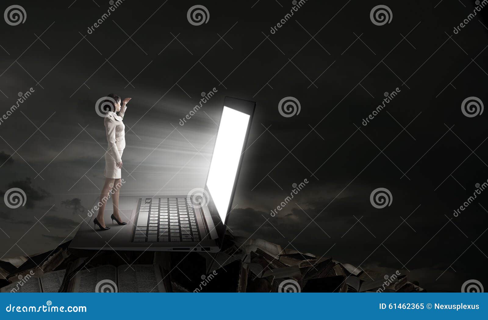 Donna Alla Luce Dello Schermo Del Computer Portatile Immagine Stock ...