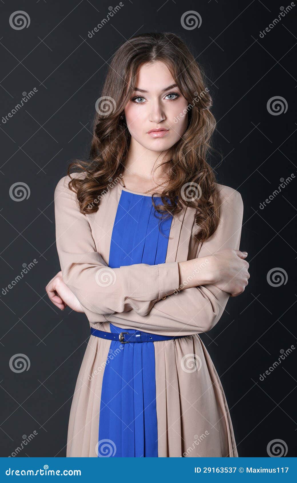 Donna alla moda elegante immagine stock. Immagine di fresco - 29163537