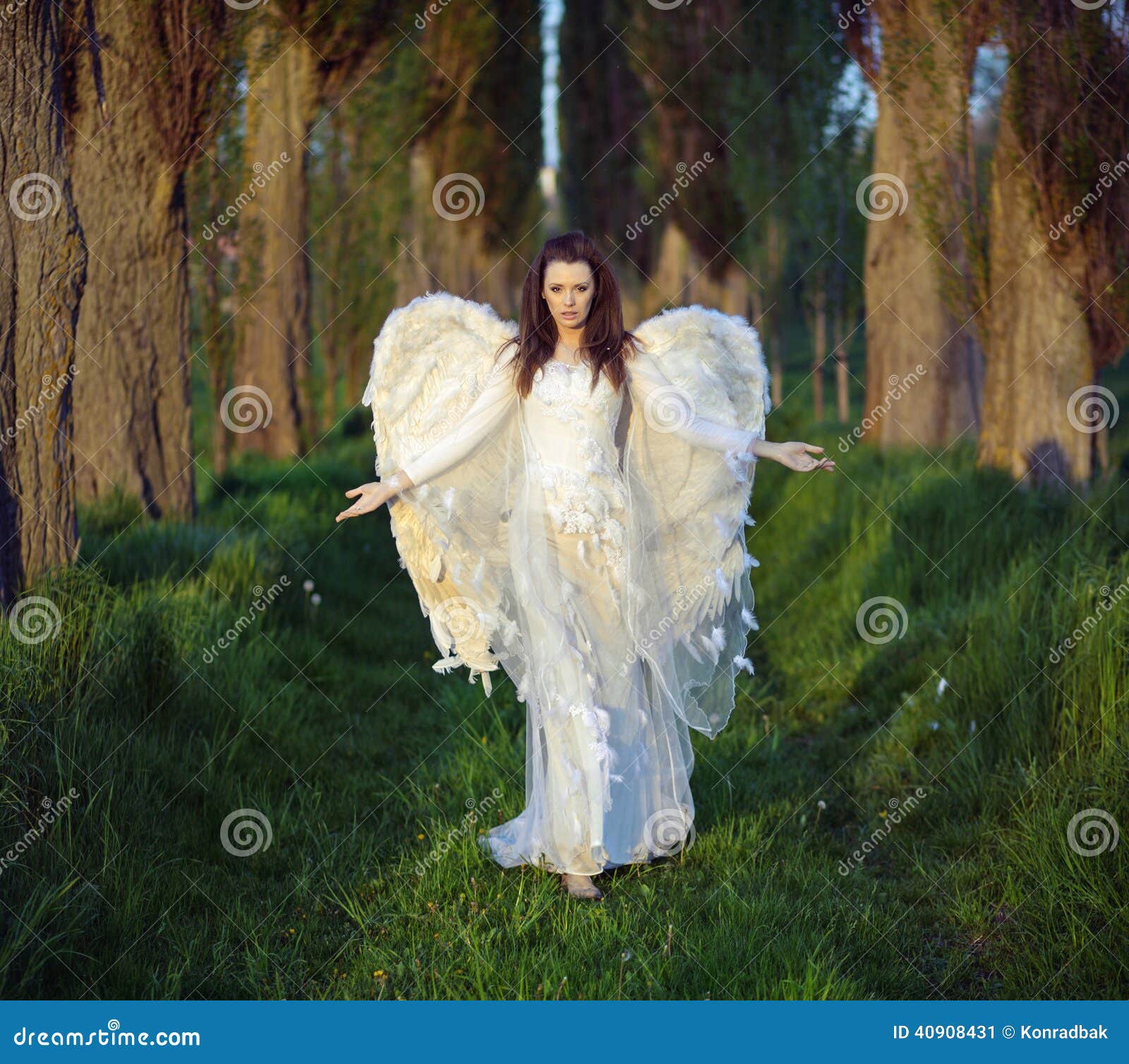 Donna-angelo Meraviglioso Nella Foresta Immagine Stock - Immagine di ...