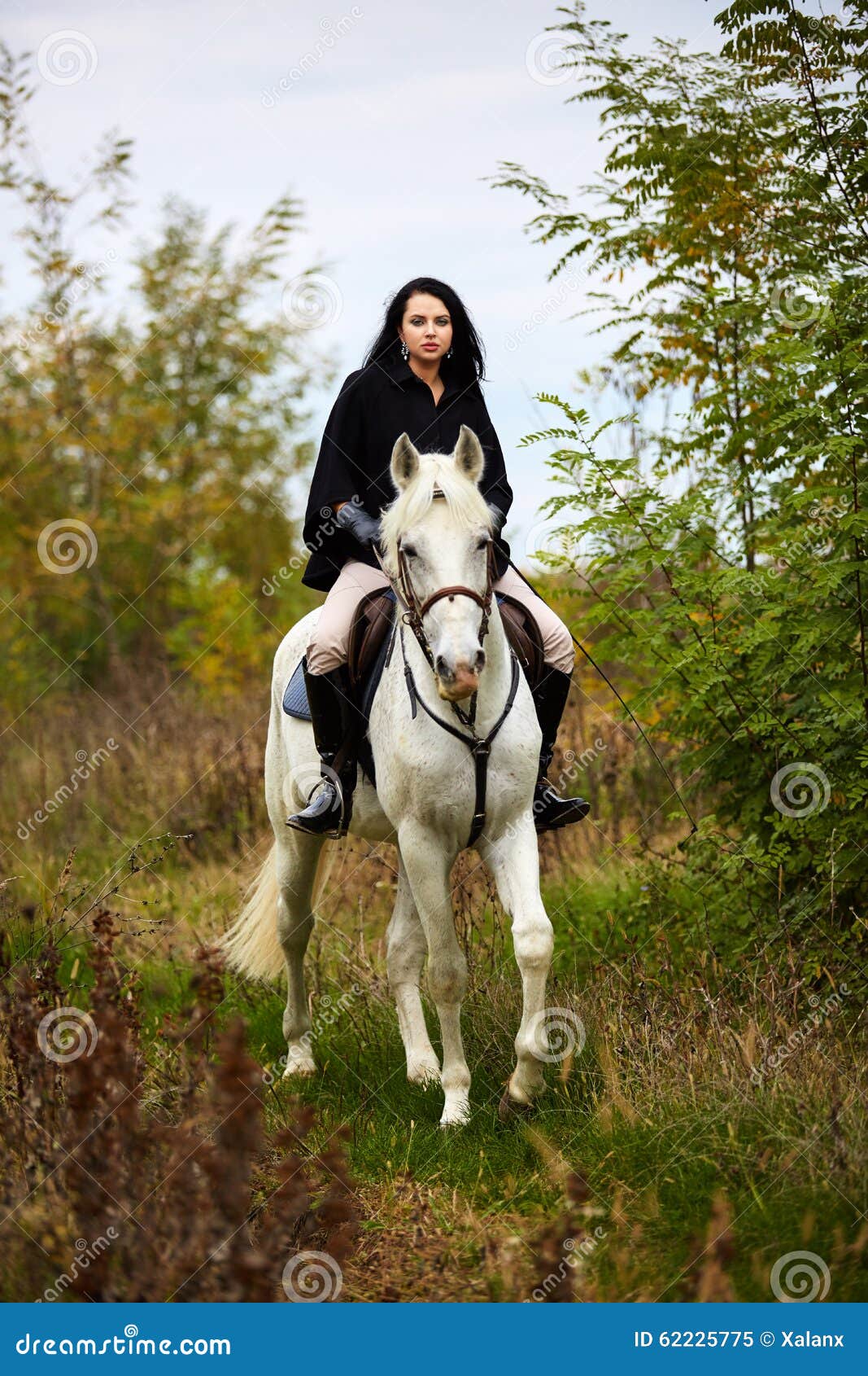 Donna Che Monta Un Cavallo Nella Foresta Immagine Stock - Immagine di ...