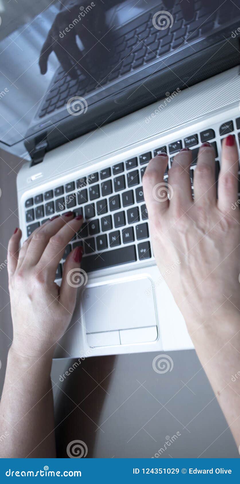 Donna Che Scrive Sul Pc Del Computer Portatile Immagine Stock ...