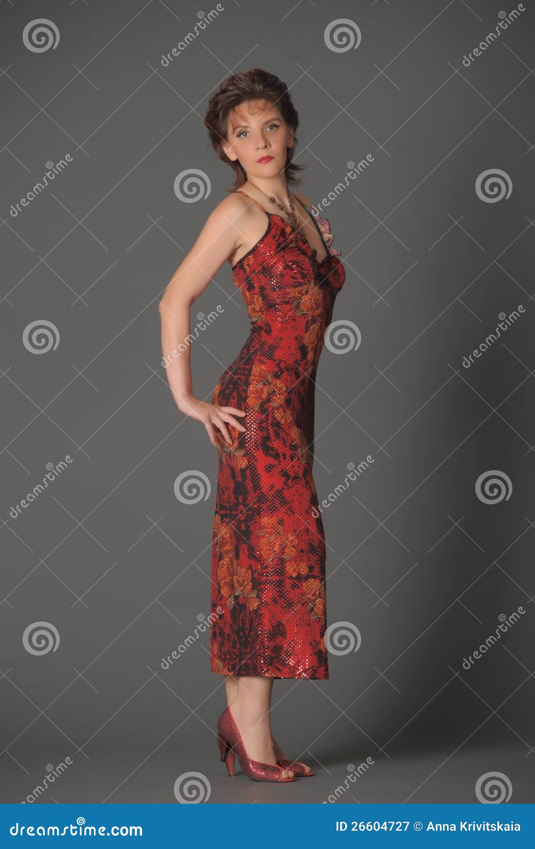 Donna Snella in Un Vestito Rosso Immagine Stock - Immagine di ...