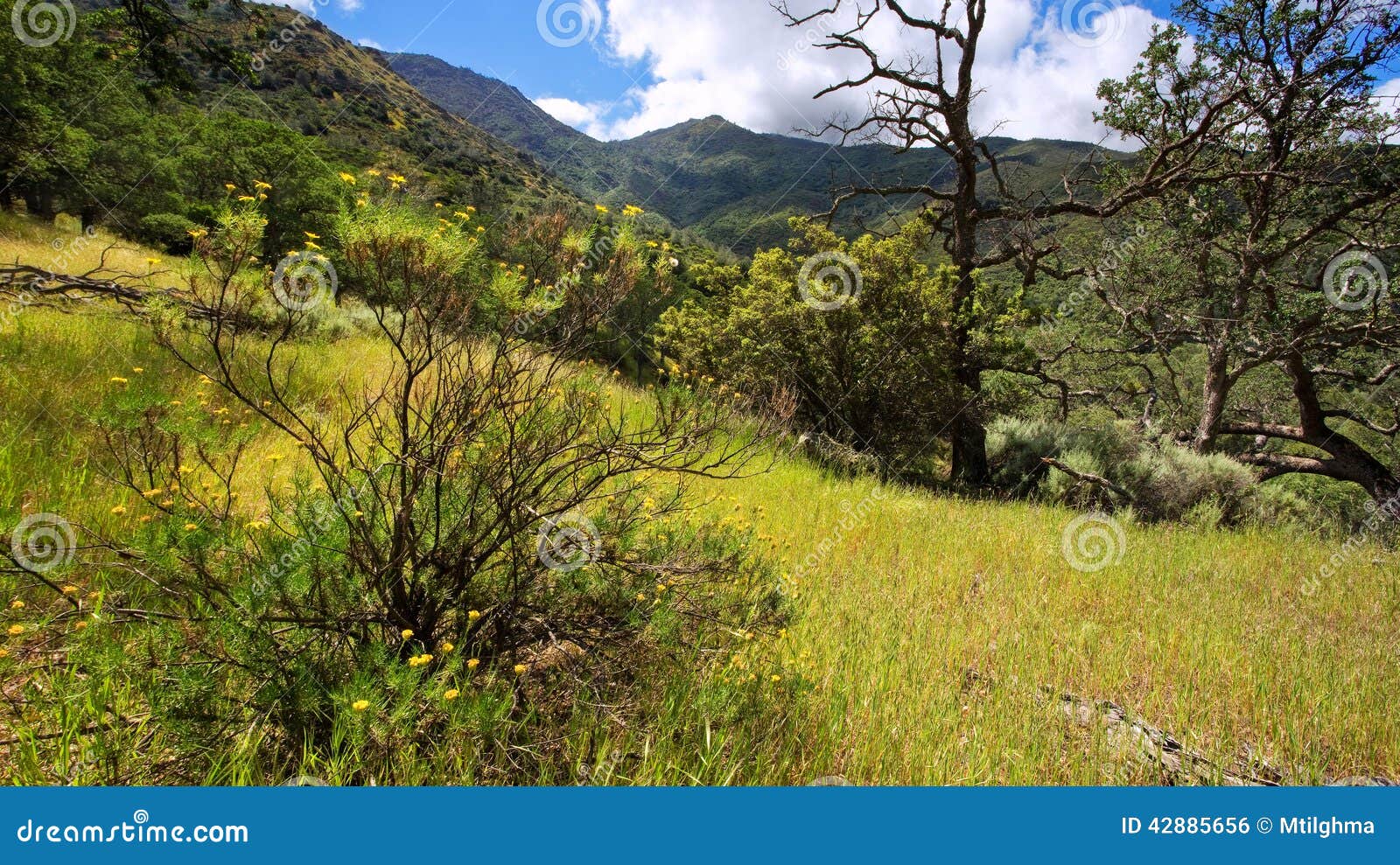Donner Canyon, Mount Diablo, California, in Late Spring Stock Photo ...