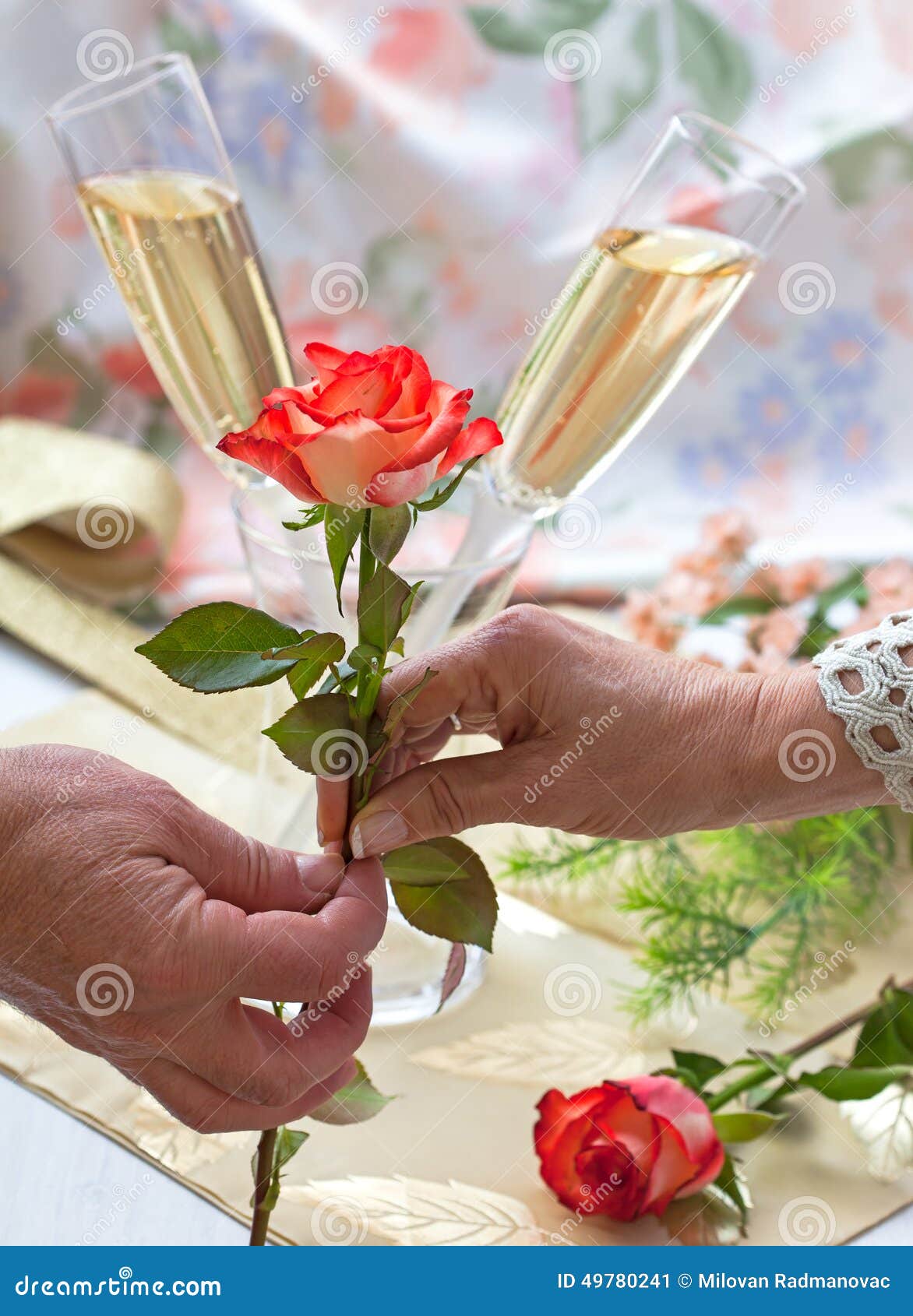 Donner des roses image stock. Image du couples, bras - 49780241