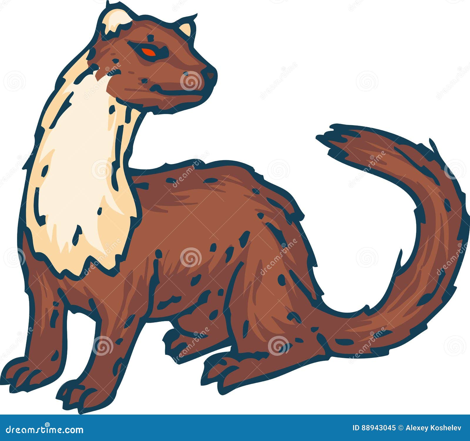 Donnola o martora diritta illustrazione di stock. Illustrazione di ...