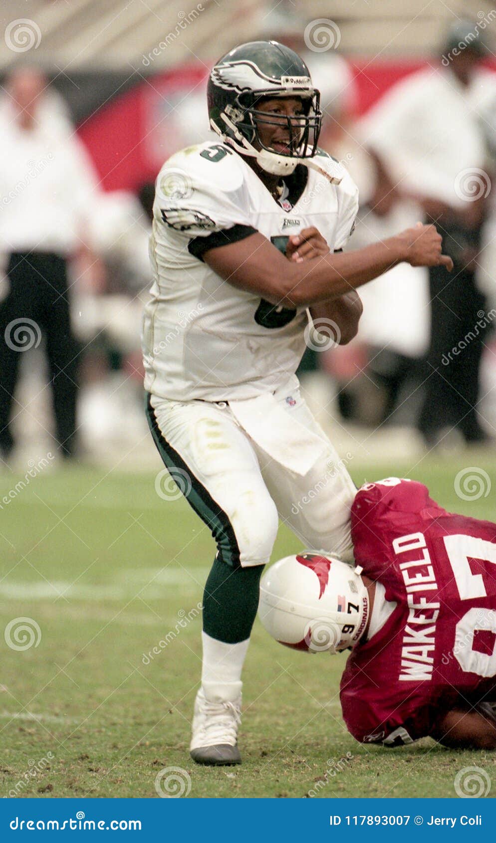 Donovan mcnabb fotografia editorial. Obraz złożonej z liga - 117893007