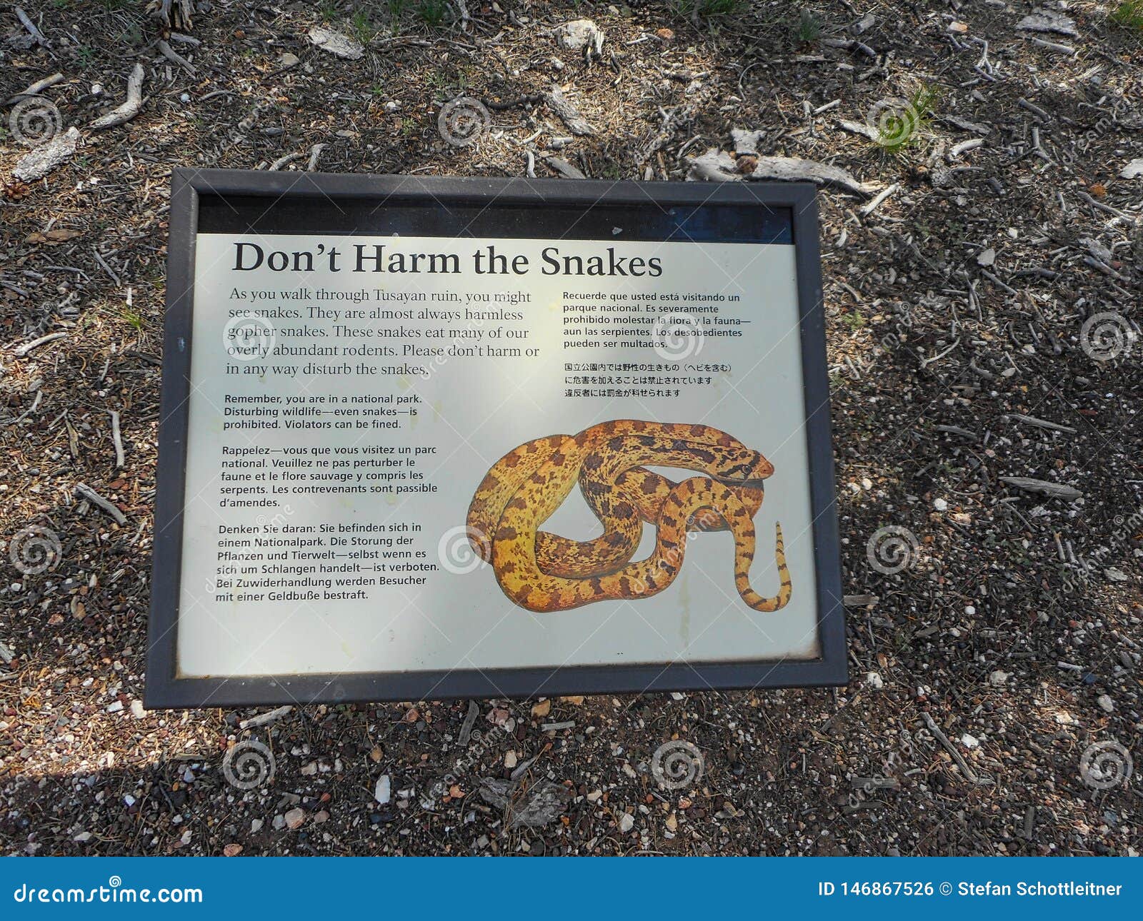 DontÂ´ Harm the Snakes Sign in the Grand Canyon Editorial Photo - Image ...