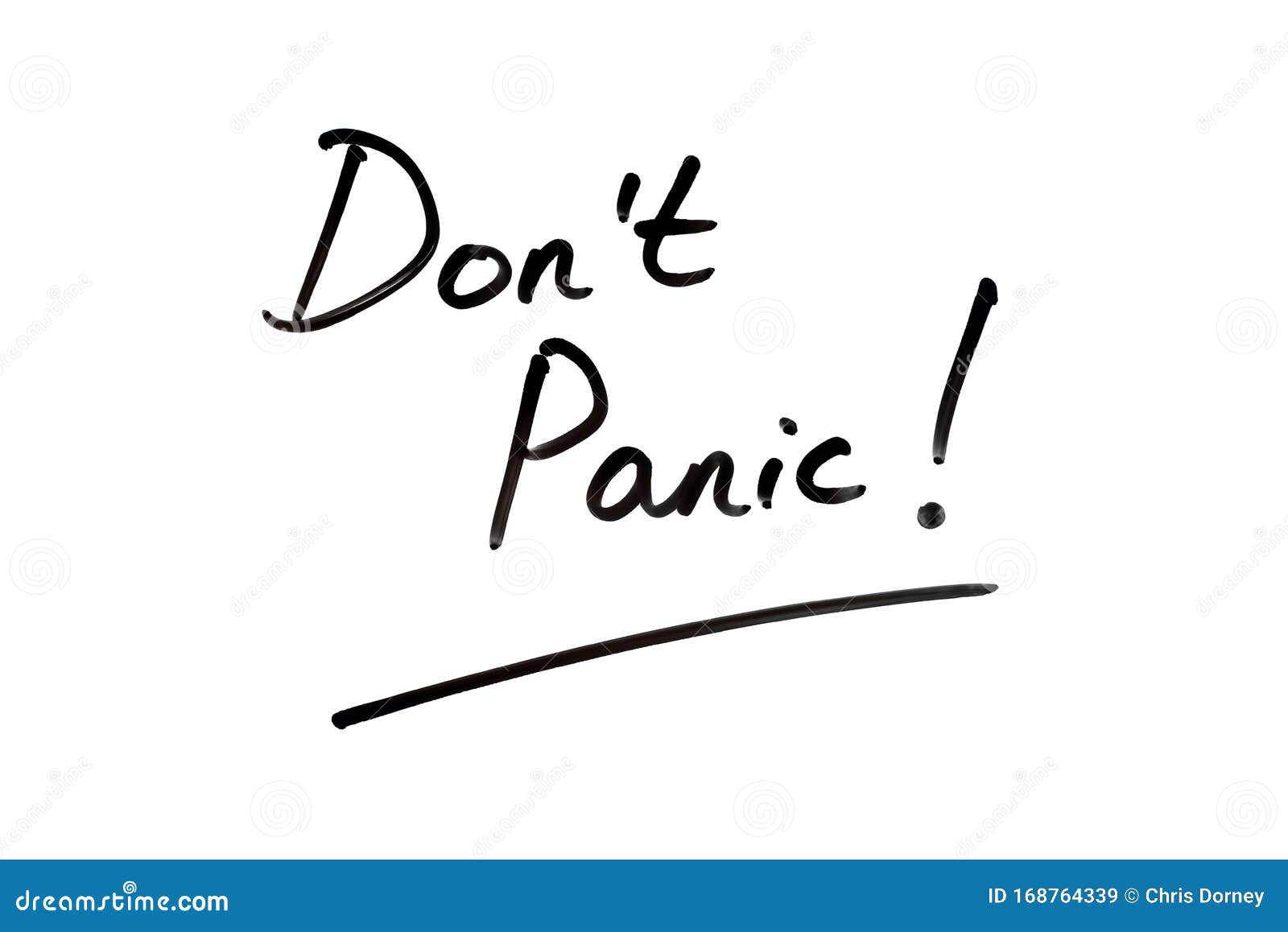 Dont Panic Vector Lettering Joke Frase For Print Card | CartoonDealer ...