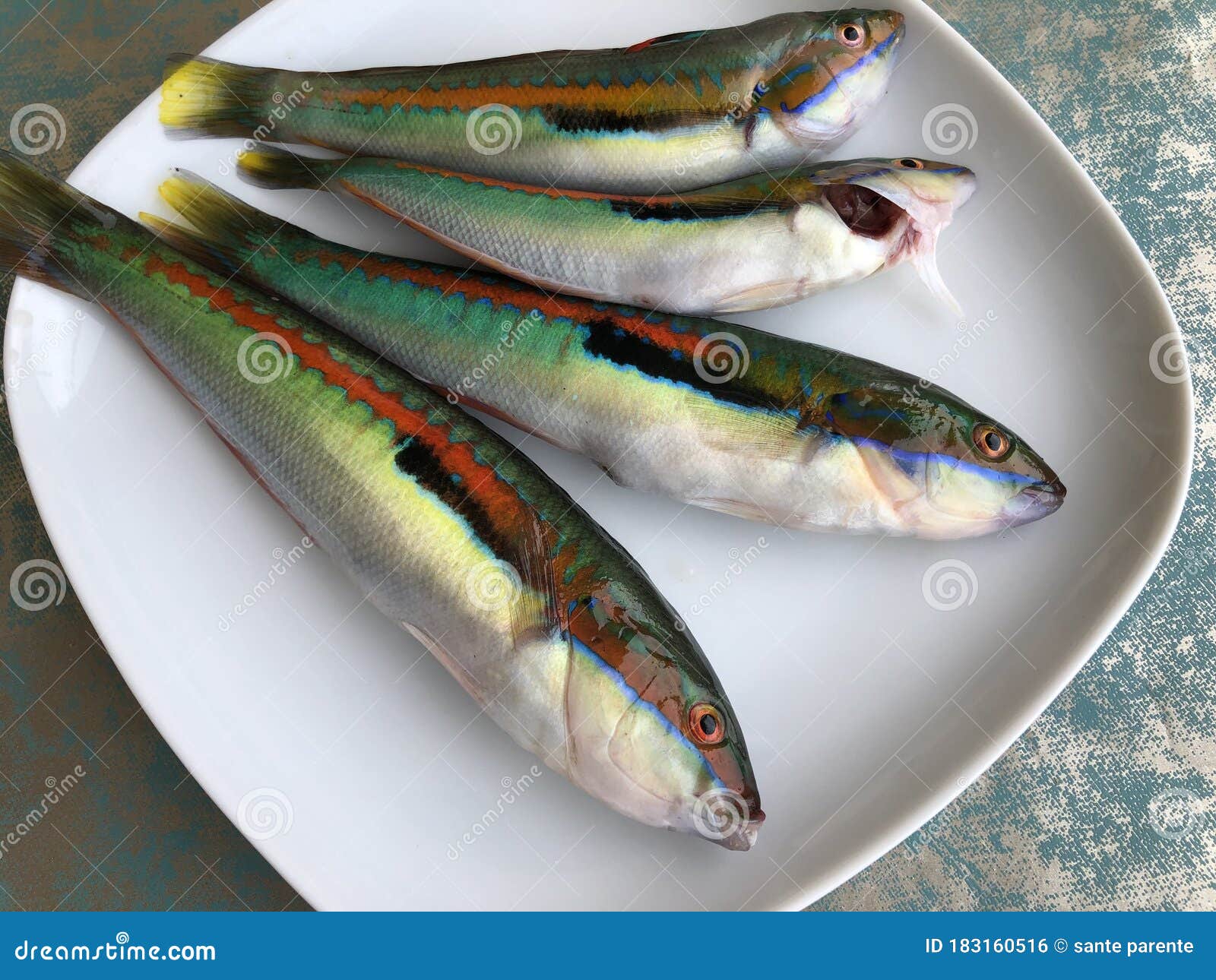Donzella Fish from Mediterranean See Stock Photo - Image of taste ...