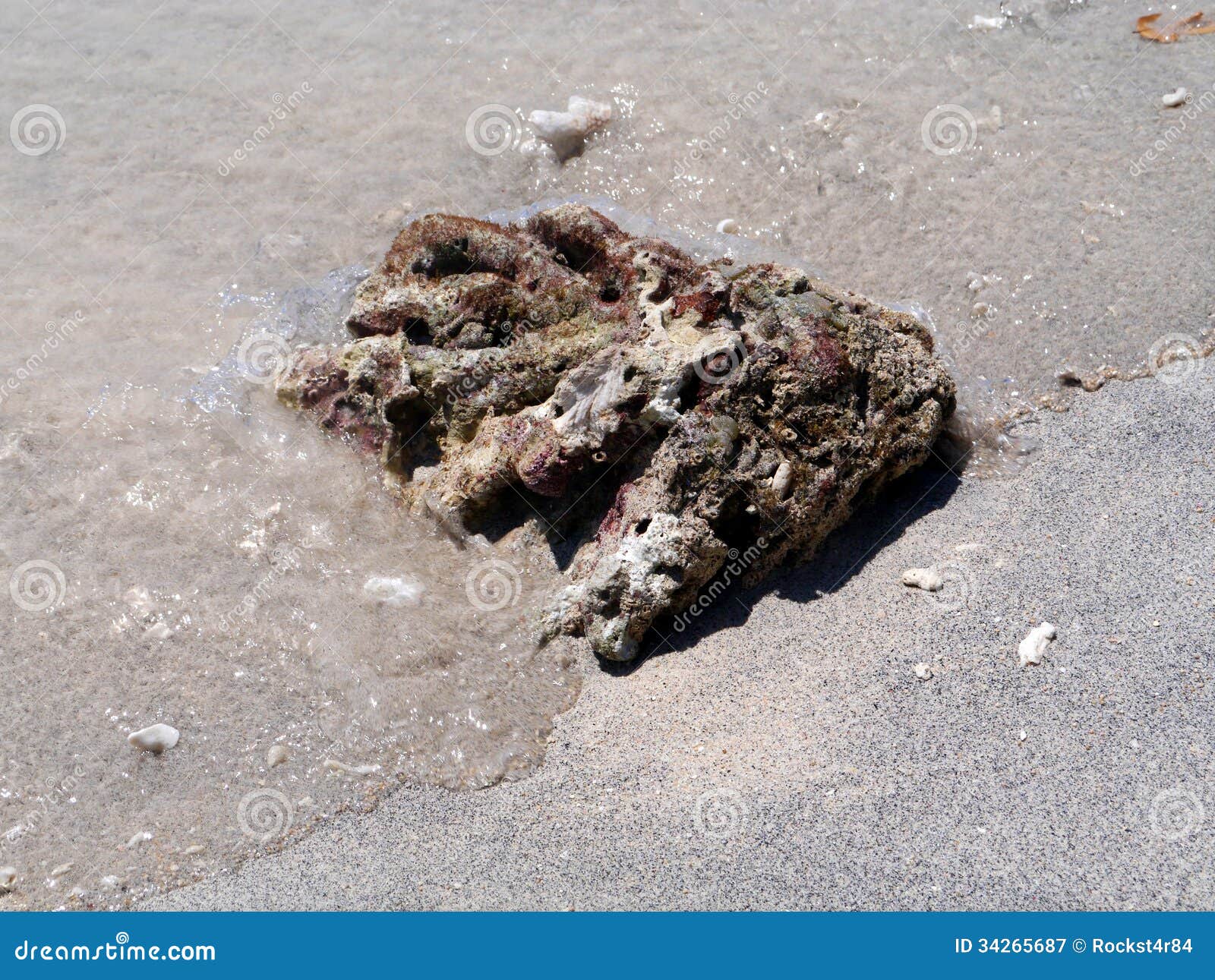 Dood koraal op het strand stock afbeelding. Image of dood - 34265687