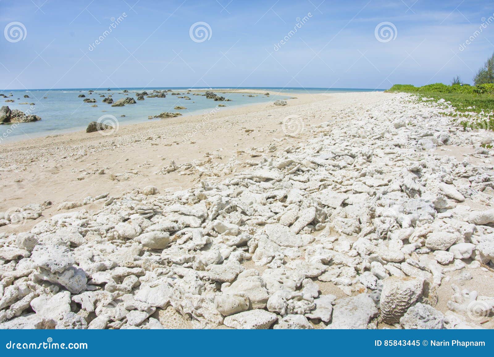 Dood Koraal Op Het Strand En Rots in Overzees Stock Afbeelding - Image ...