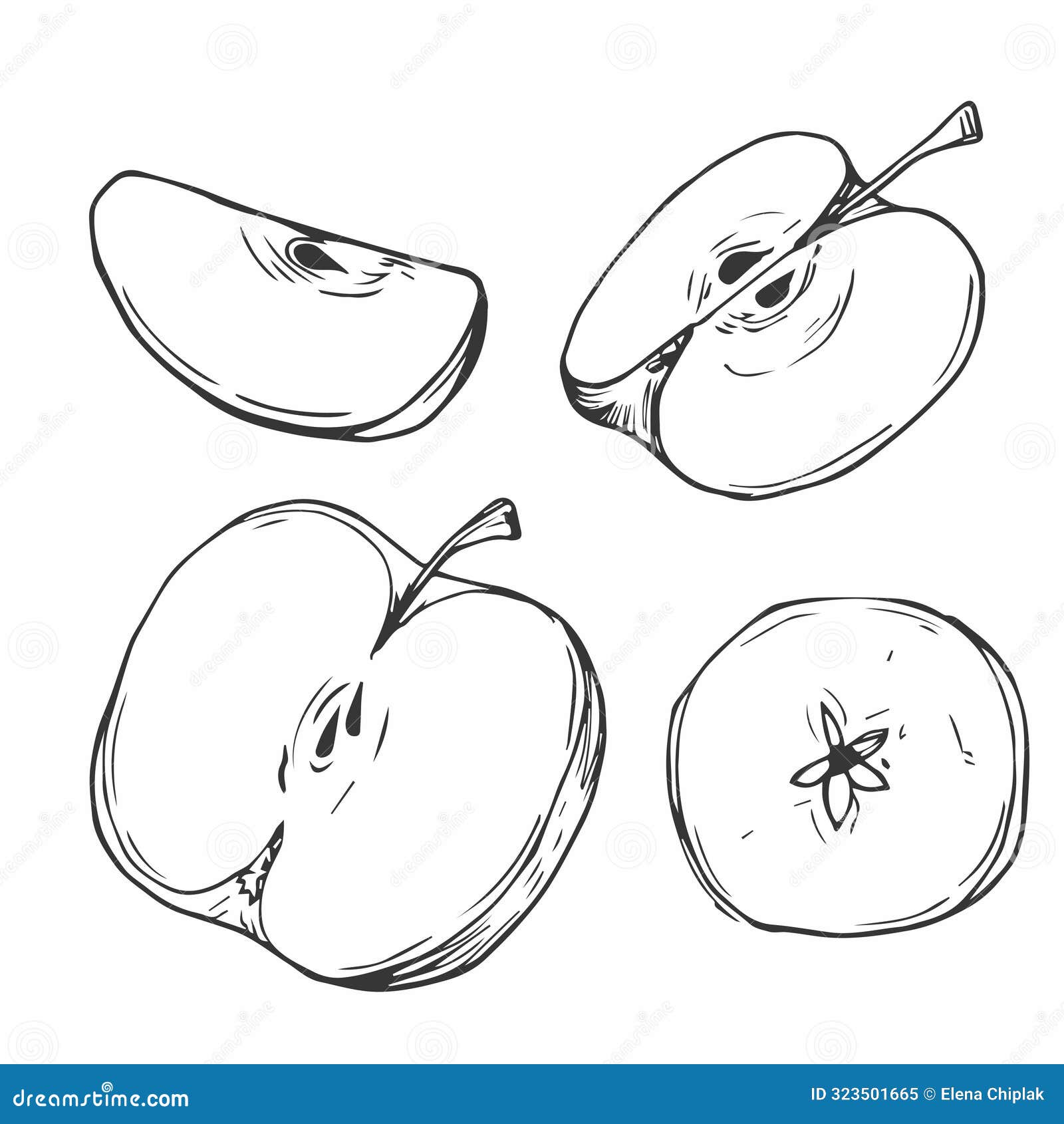 Doodle Apple Ink Set Sketch Isolated on White Background Stock Vector ...