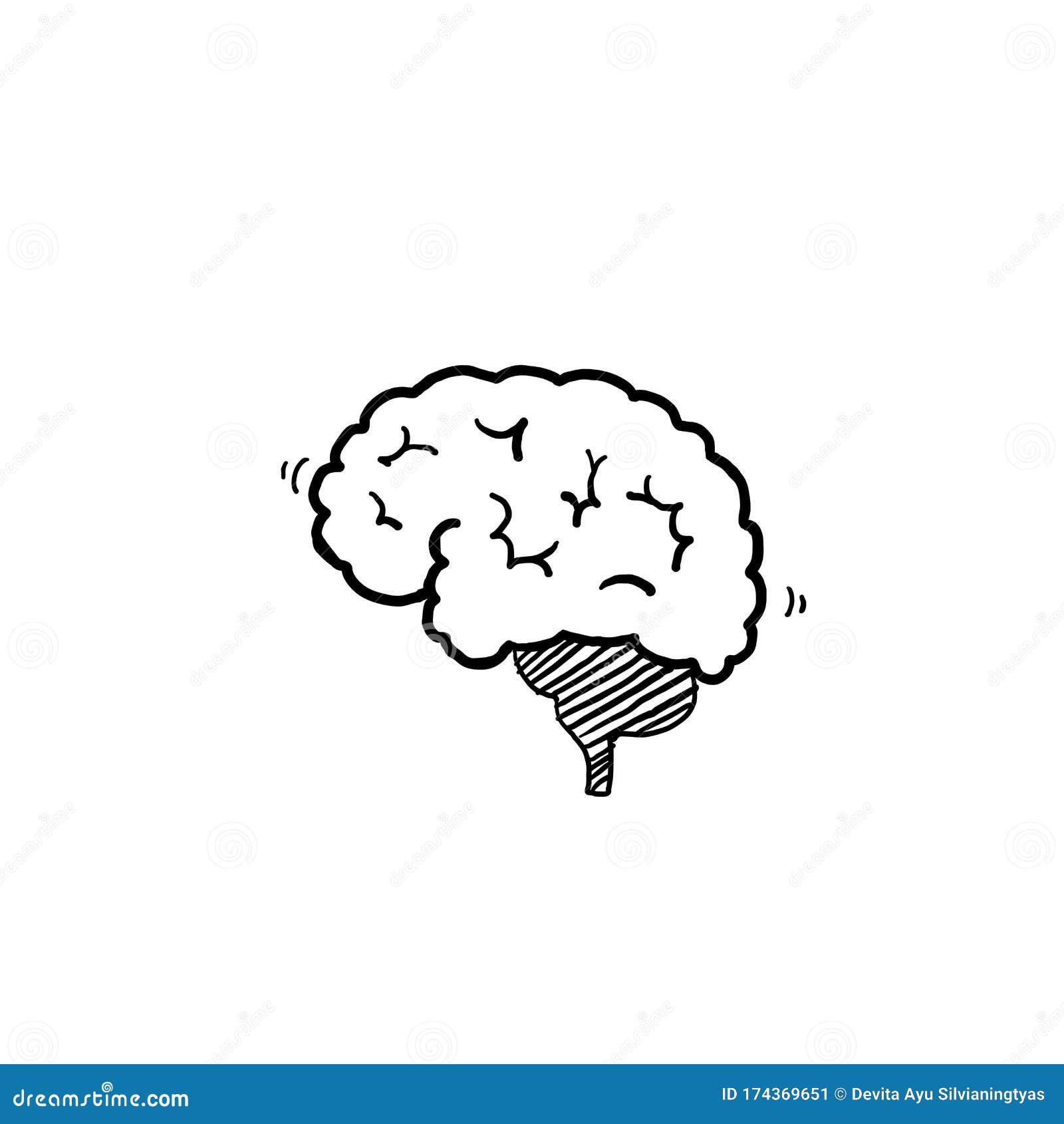 Doodle Brain Icon with Hand Drawn Style Vector Isolated Background ...
