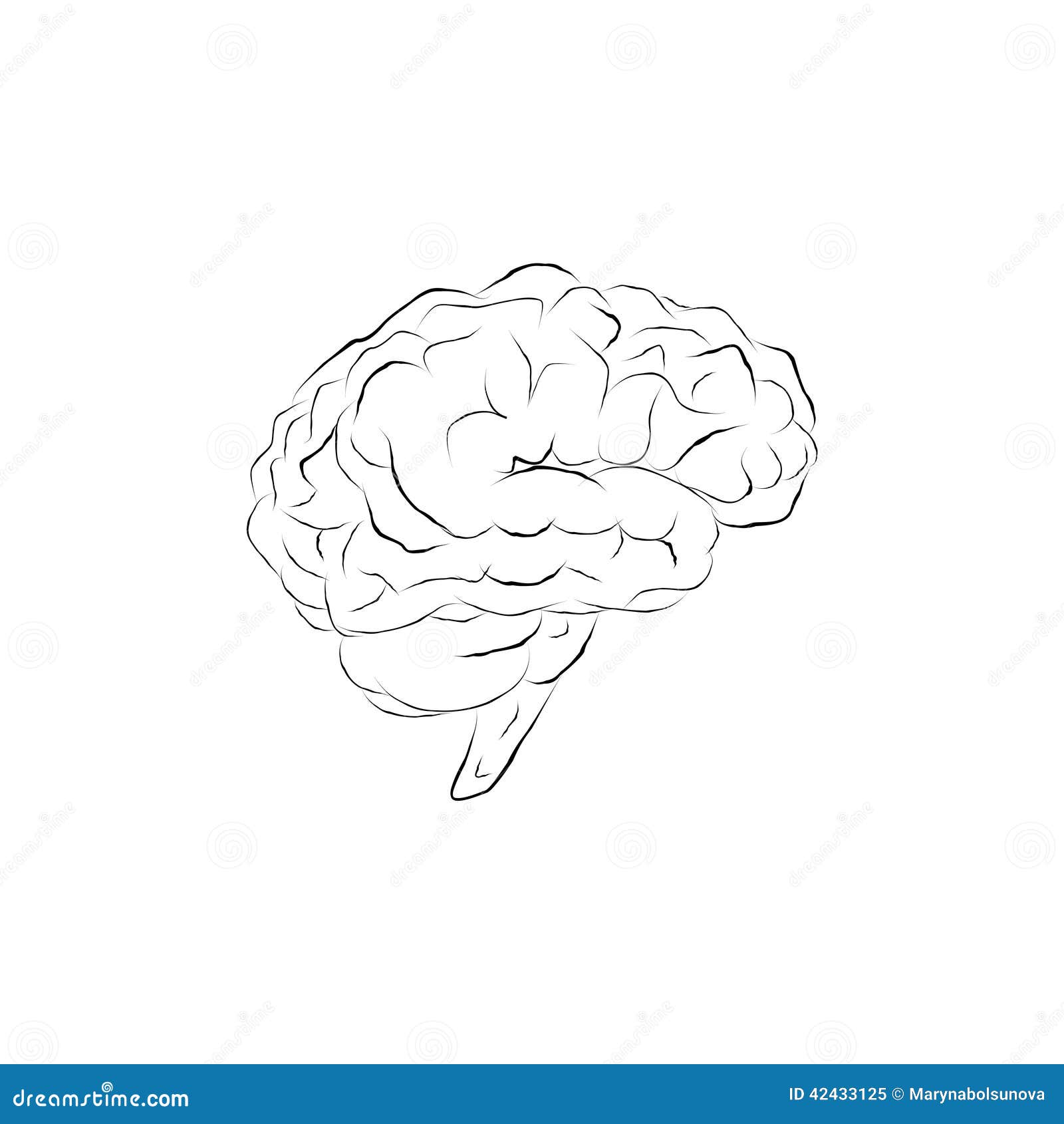 Doodle brain stock vector. Illustration of concept, isolated - 42433125