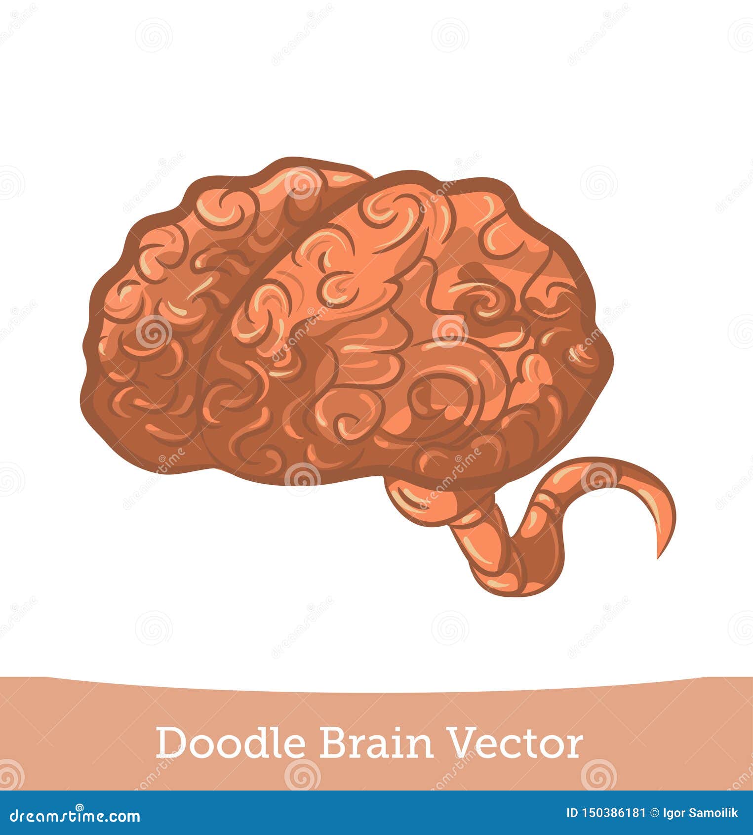 Doodle Brain Isolated on White Background. Vector Stock Vector ...