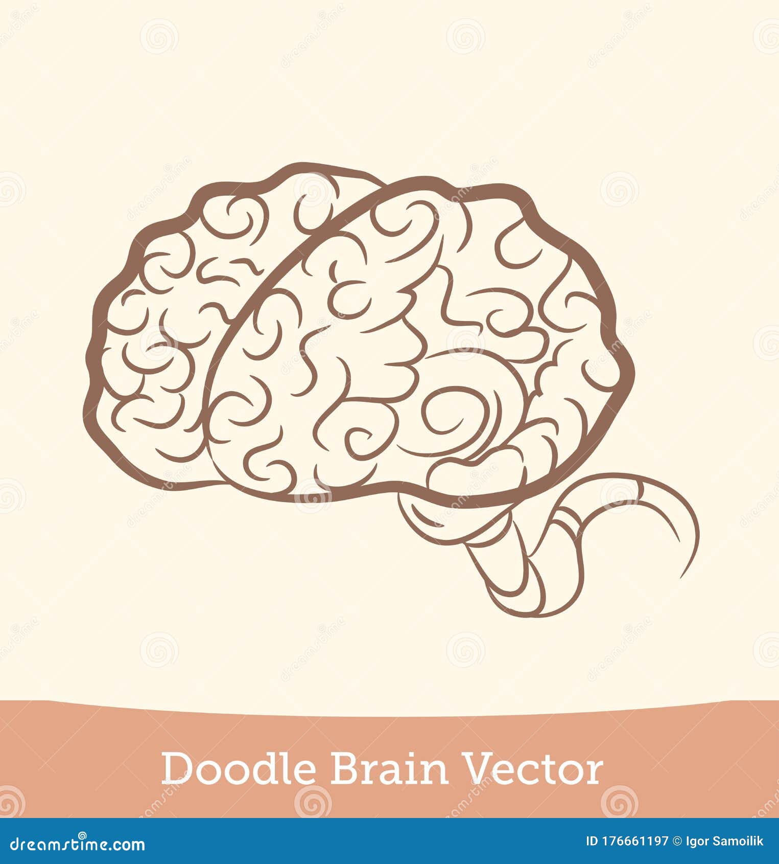 Doodle Brain Isolated on White Background. Vector Stock Vector ...