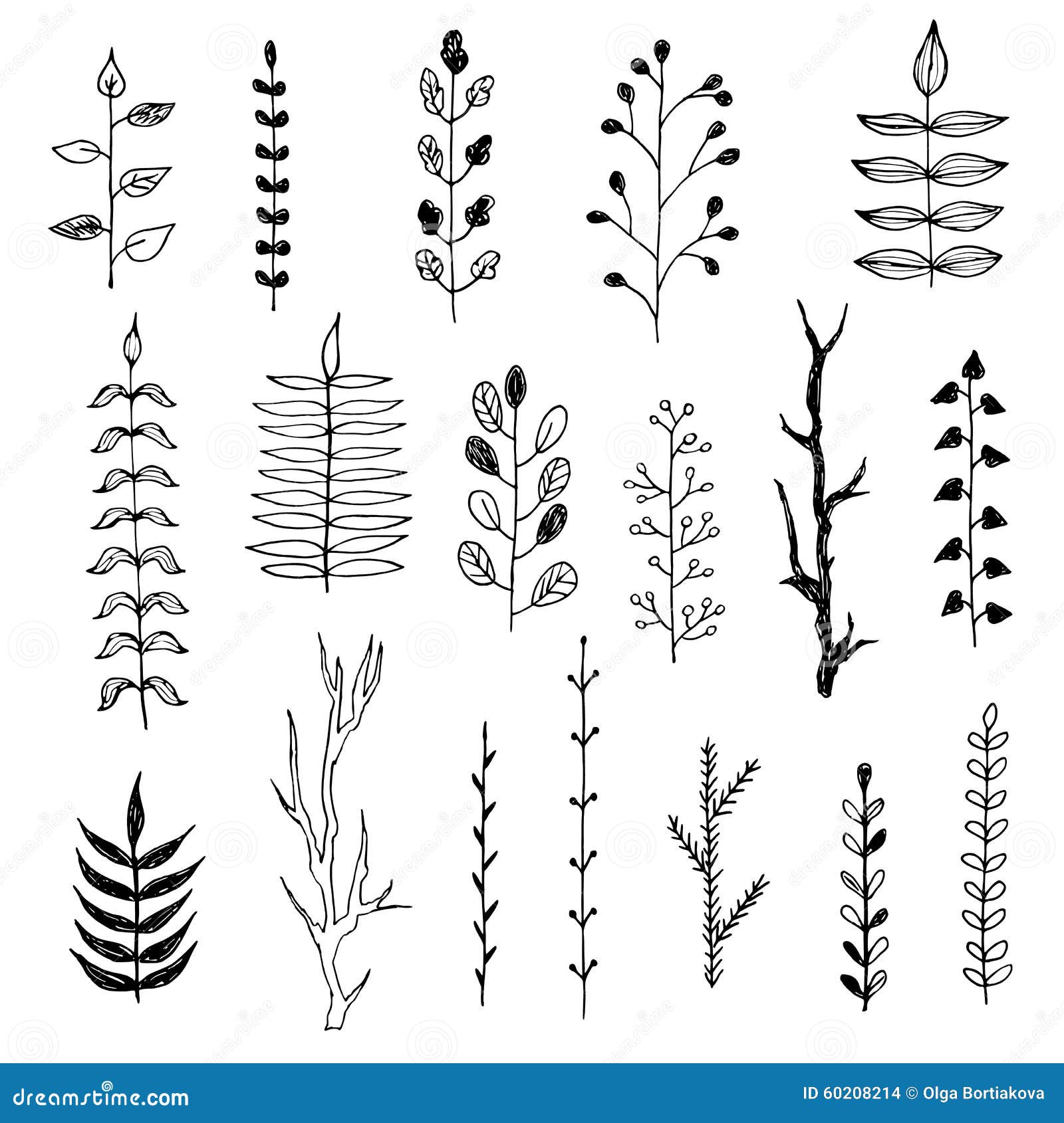 Doodle branches stock vector. Illustration of doodle - 60208214