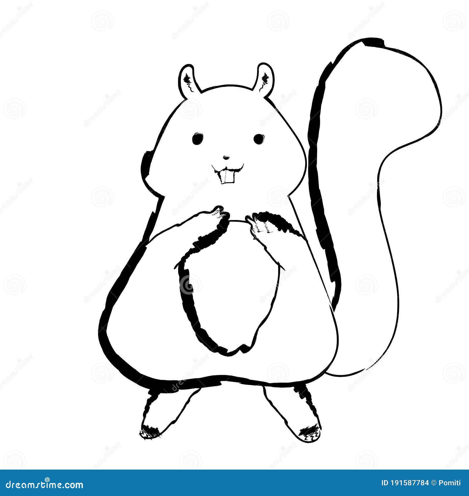 Doodle Drawing Image of Squirrel Stock Vector - Illustration of vector ...