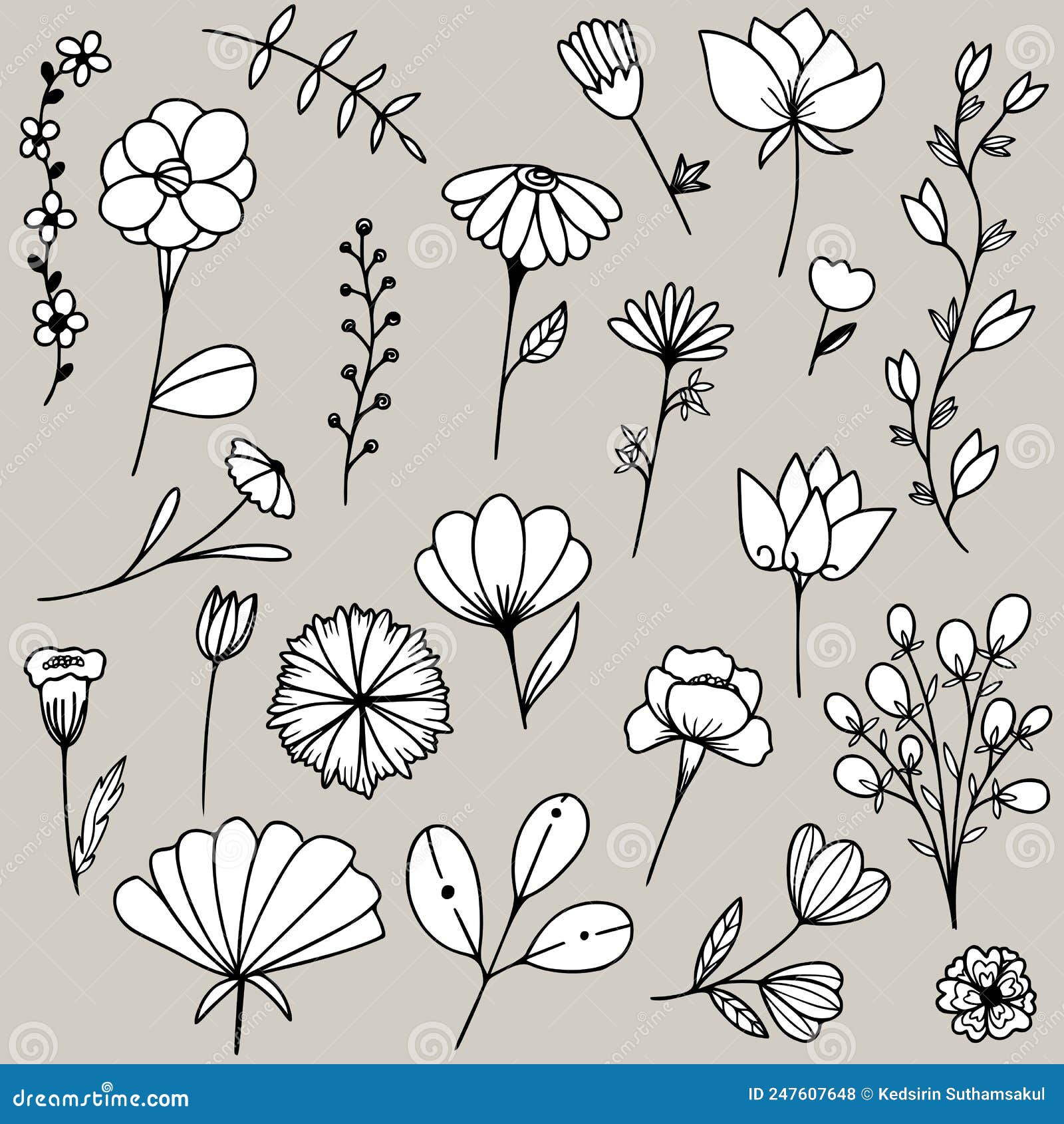 Doodle Flower and Leaves Vector Design Elements Collection Set Stock ...