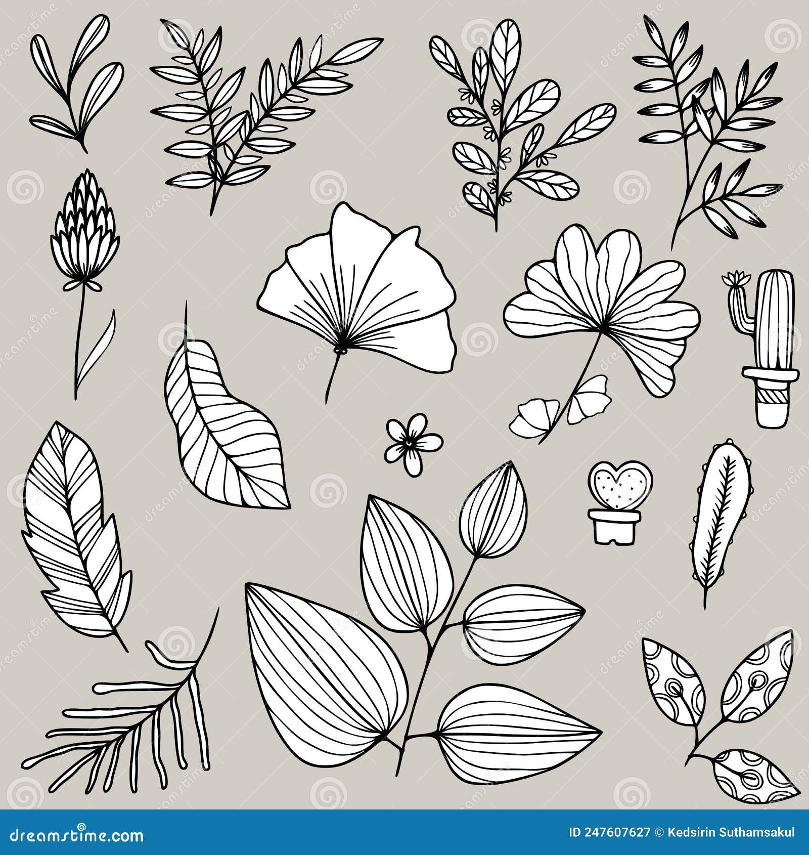 Doodle Flower and Leaves Vector Design Elements Collection Set Stock ...