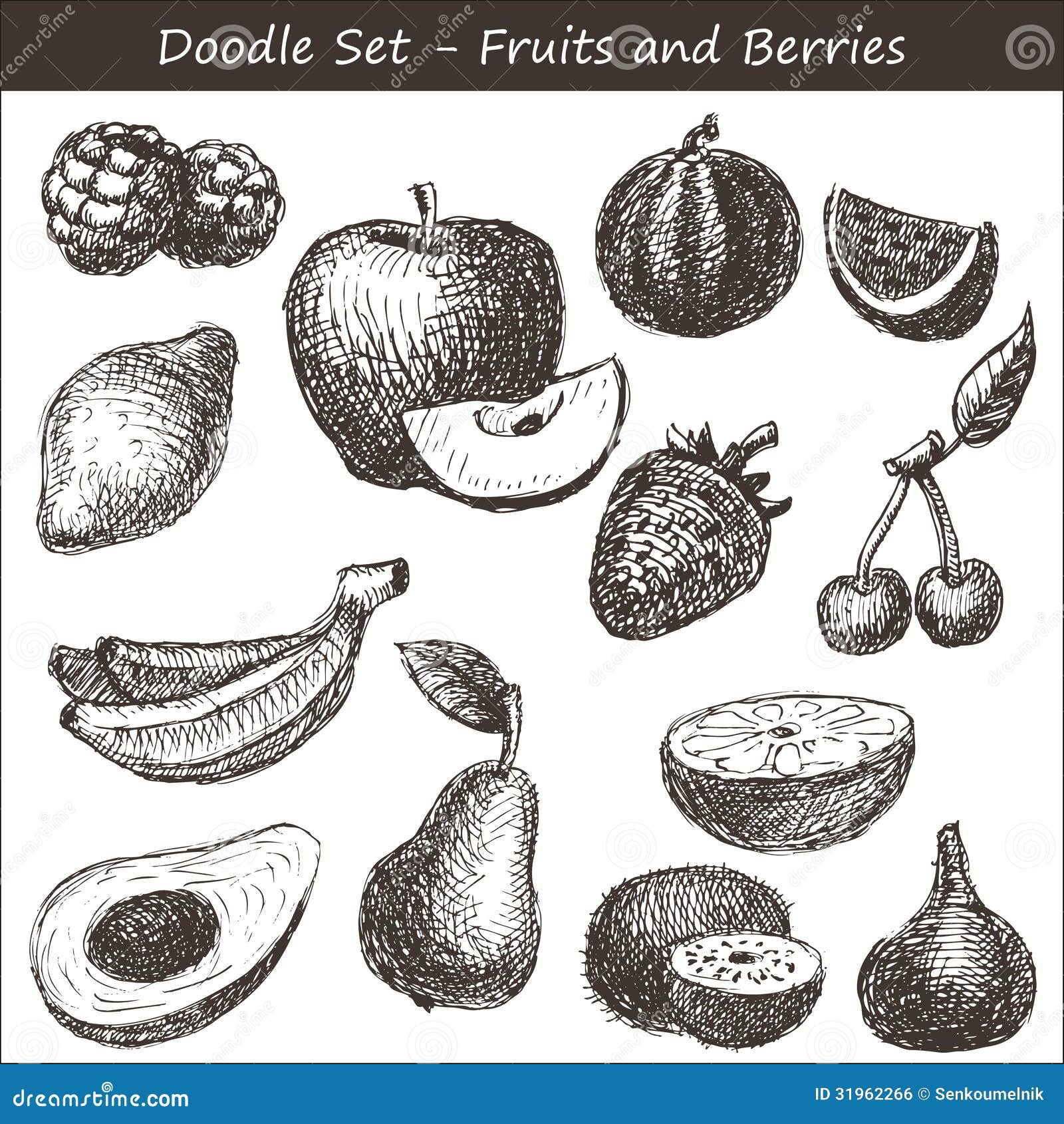 Doodle fruits and berries stock vector. Illustration of avocado - 31962266