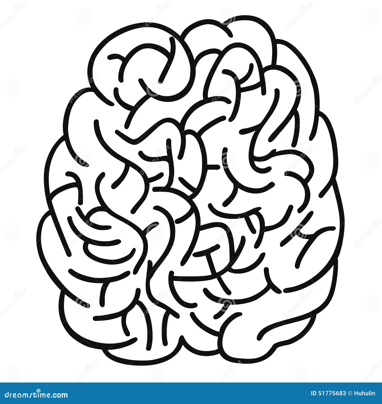 Brain Outline Detailed Medical Graphic Drawing Vector Illustration ...