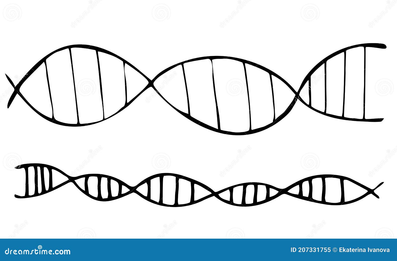 Doodle Image of a DNA Chain. Vector Illustration Isolated on White ...