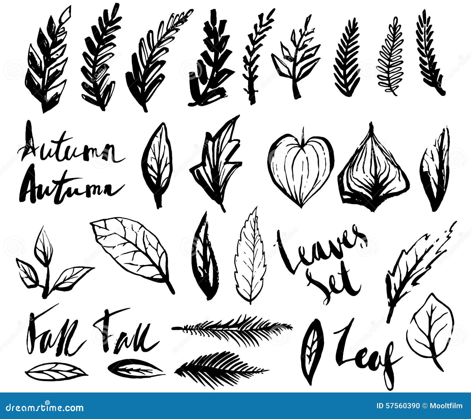 Doodle leaves set stock vector. Illustration of doodle - 57560390