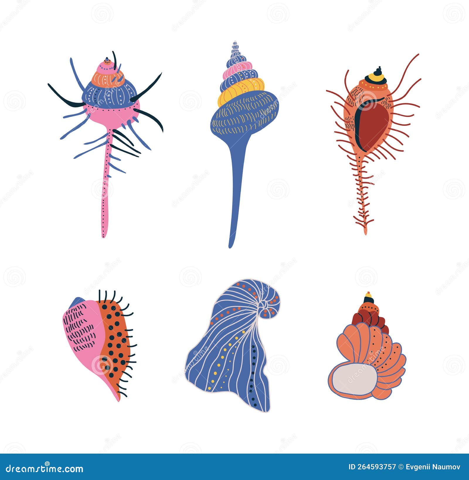 Doodle Ornamental Seashell with Hard Marine Shell Vector Set Stock ...
