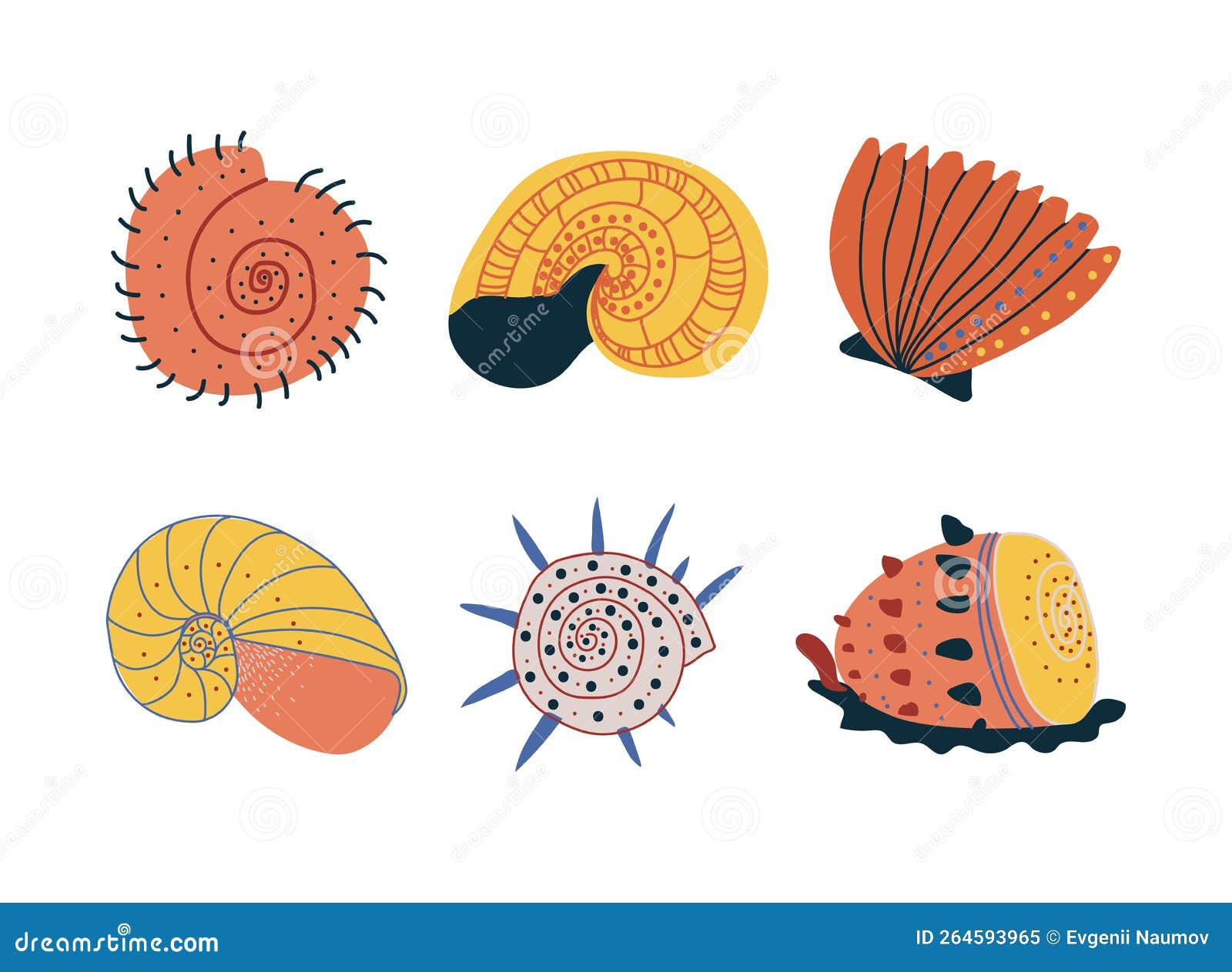 Doodle Ornamental Seashell with Hard Marine Shell Vector Set Stock ...
