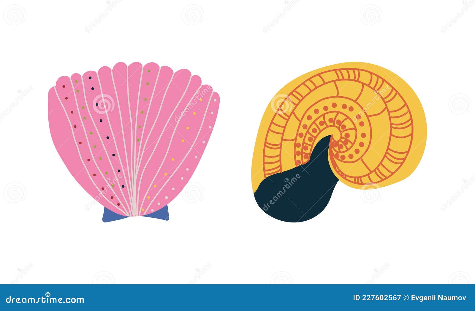 Doodle Ornamental Seashell with Hard Marine Shell Vector Set Stock ...
