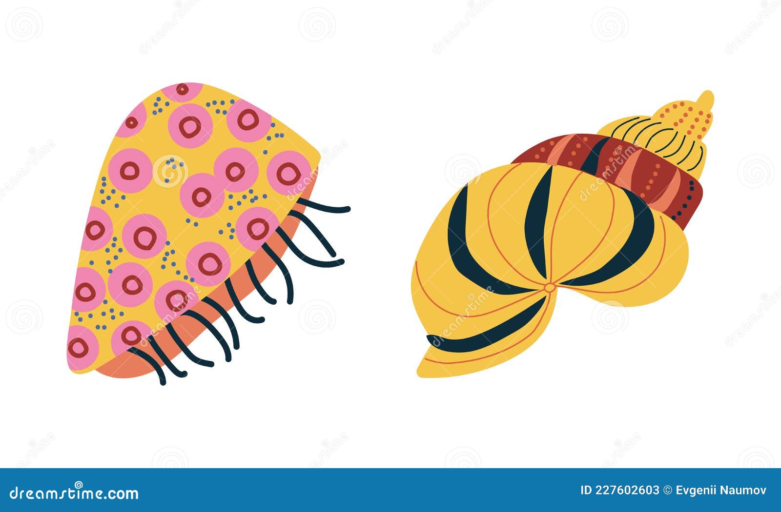 Doodle Ornamental Seashell with Hard Marine Shell Vector Set Stock ...