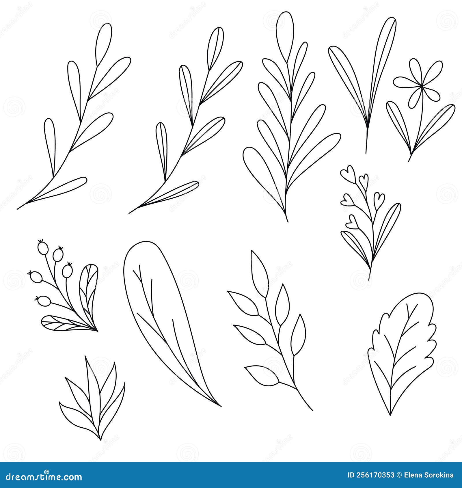 Doodle Set Different Leaves Flowers Stock Vector Illustration Of