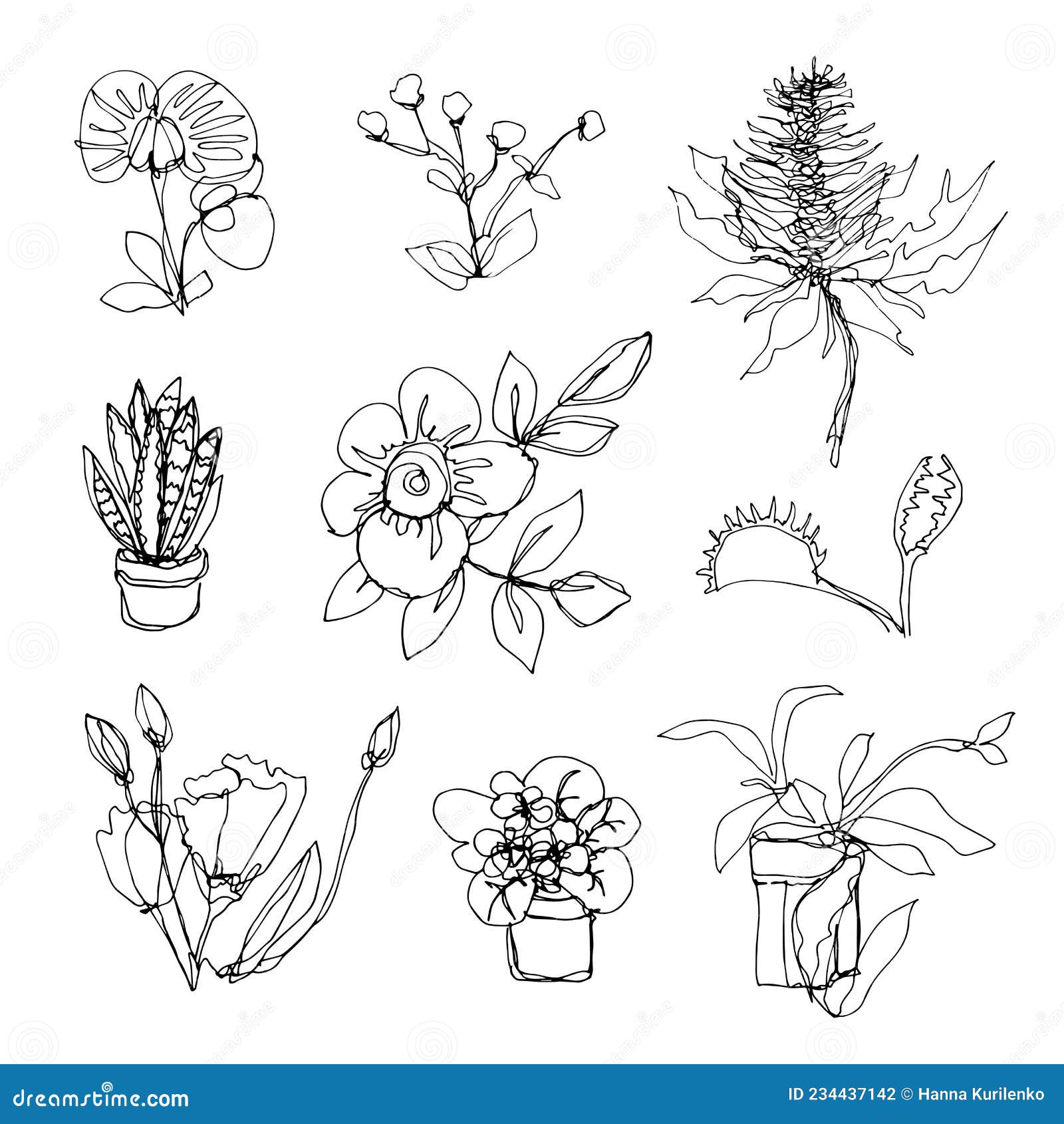 Doodle Set with Flower Elements in One Line Style Stock Vector ...