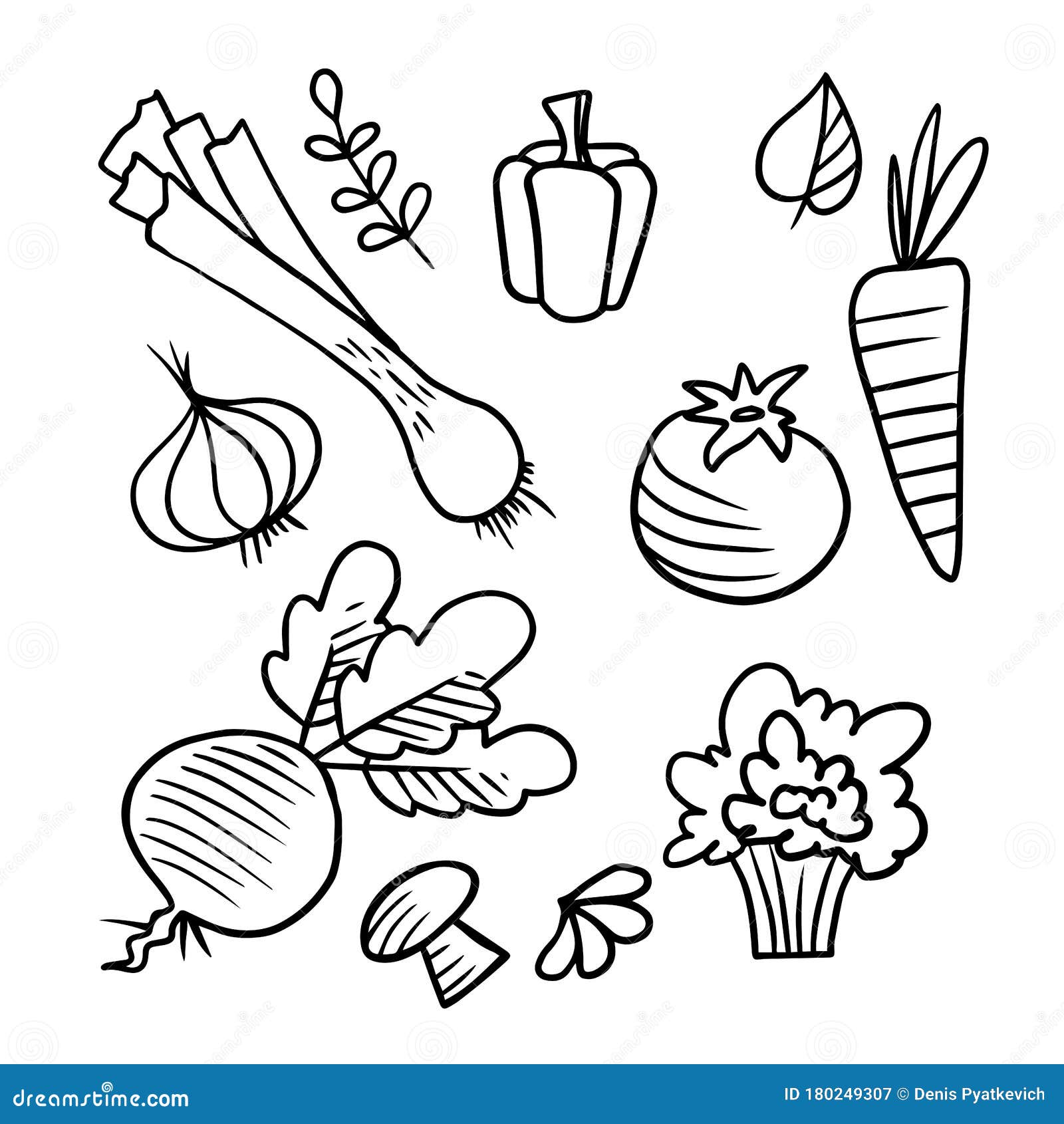 Doodle Sketch Vegetables, Simple Linear Illustration Of Vegetables ...