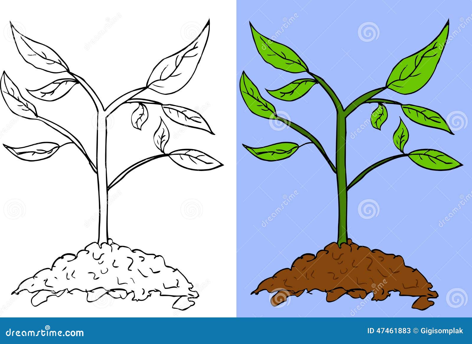 Doodle Small Plant (colorful and Outline) Stock Vector - Illustration ...