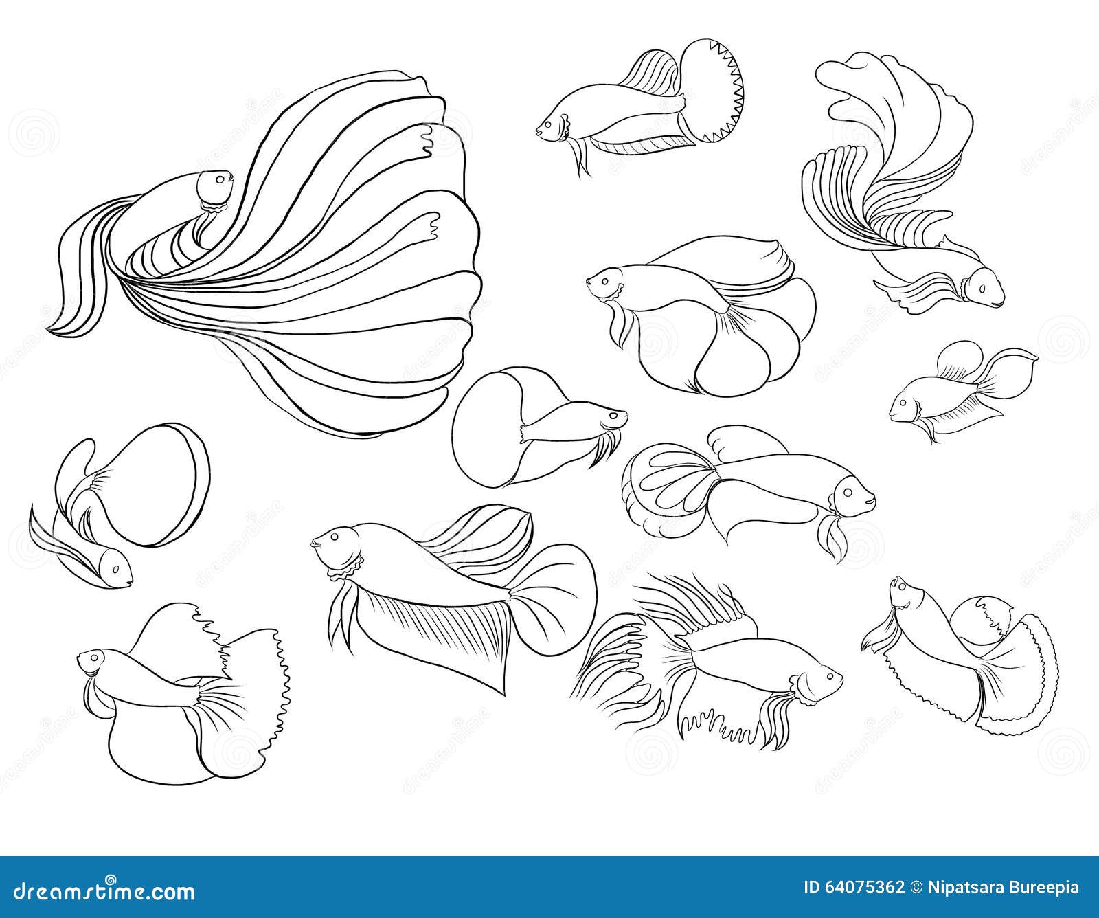 Fighting Fish Hand Drawn Coloring Page Cartoon Vector | CartoonDealer ...