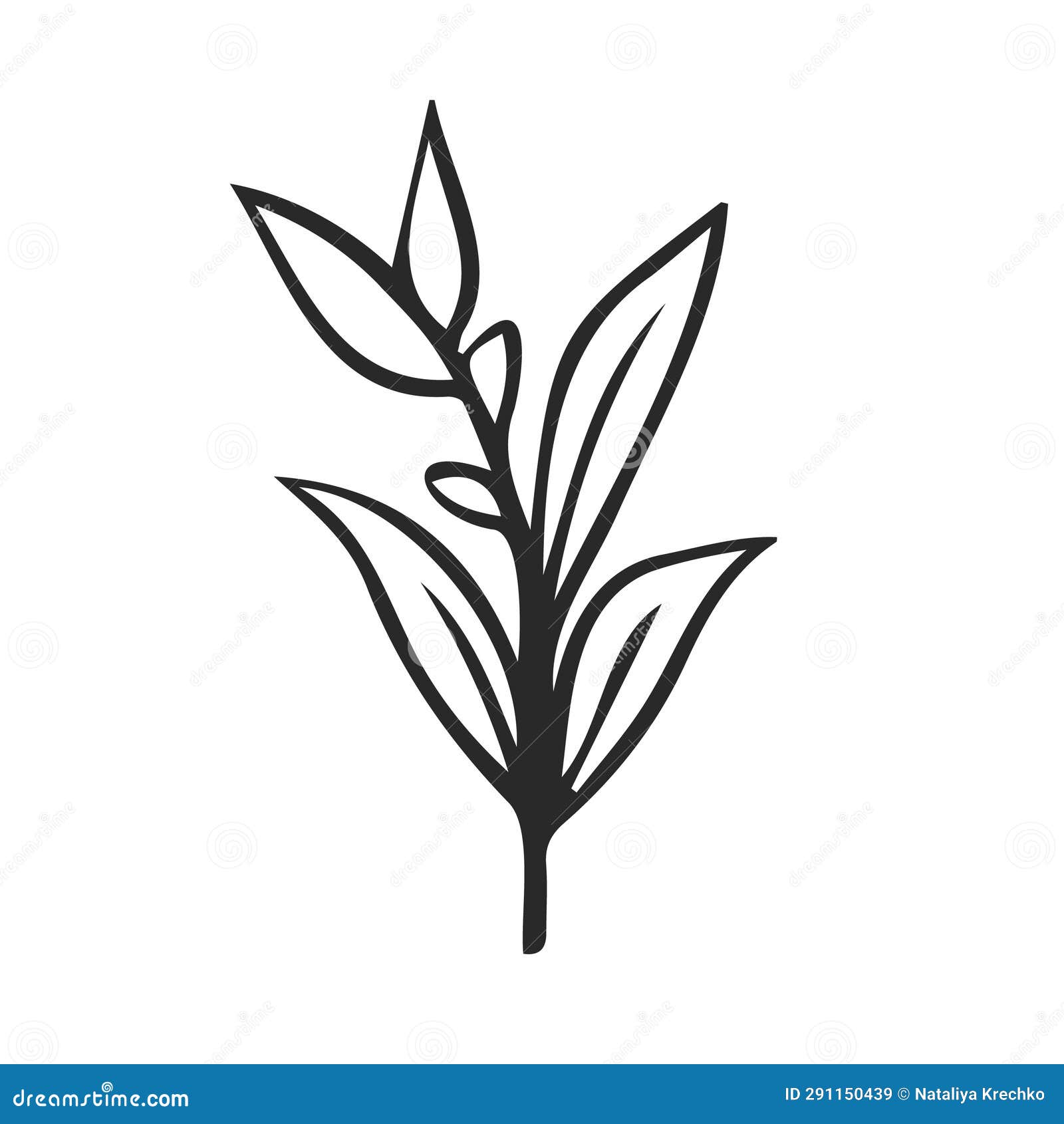 Doodle Style Vector Illustration. Simple Element of Twig and Leaves ...