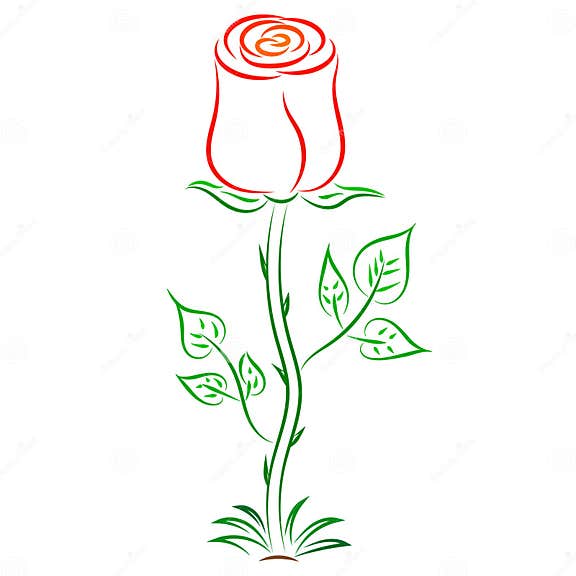 Doodle Vector Abstract Red Rose Stock Vector - Illustration of color ...