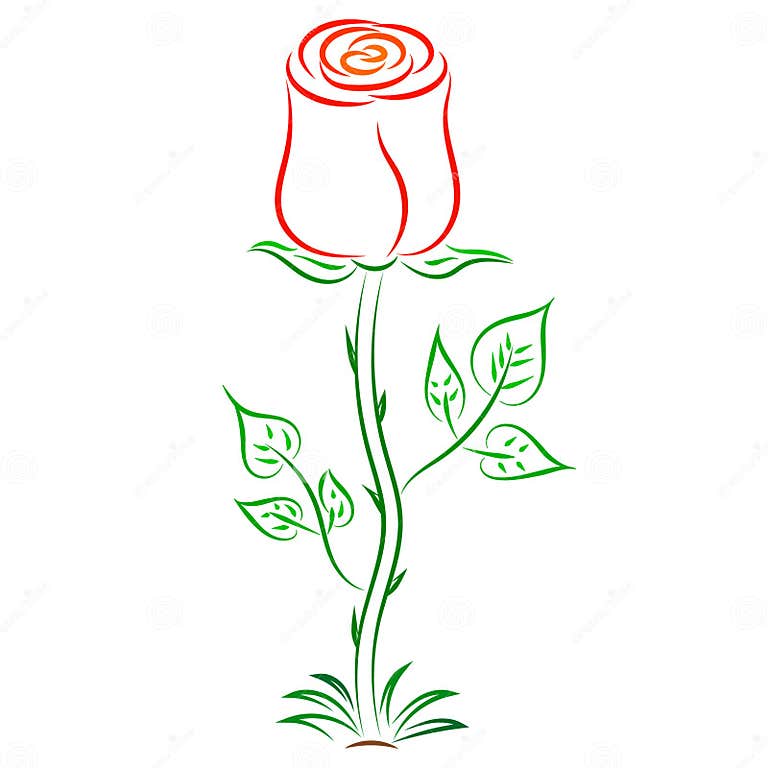 Doodle Vector Abstract Red Rose Stock Vector - Illustration of color ...