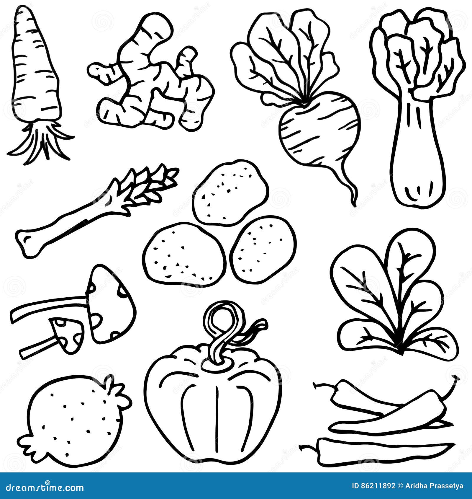 Doodle Vegetable Various Set Vector Illustration Stock Vector ...