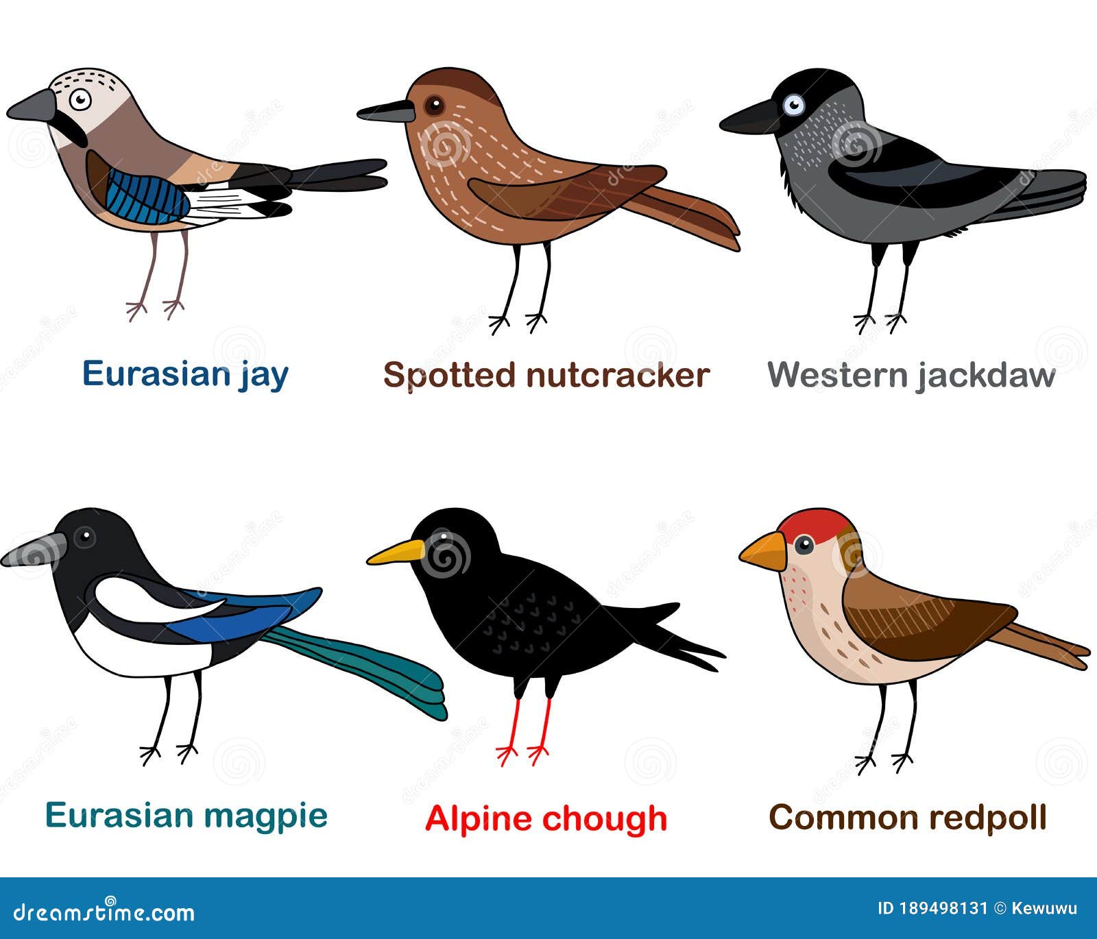 Cute Bird Vector Illustration Set, Jay, Nutcracker, Jackdaw, Magpie ... Cute Bird Vector Illustration Set, Jay, Nutcracker, Jackdaw, Magpie ...